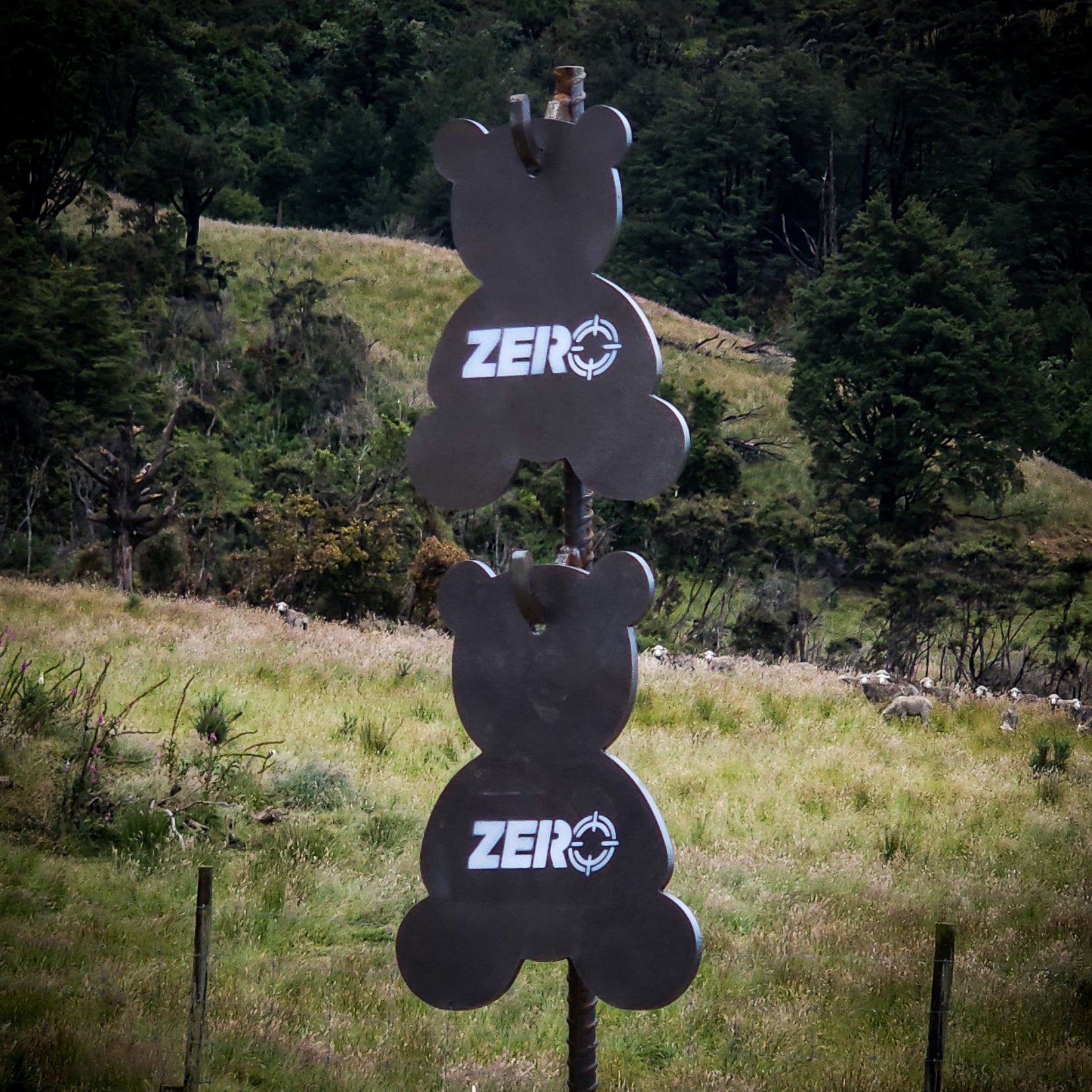 RIMFIRE PLATES - TEDDY – Zero Targets